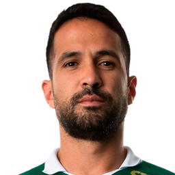 Palmeiras Squads SoFIFA