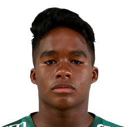 Palmeiras 2024 Squads SoFIFA