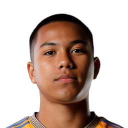 FC25 - Tigres U.A.N.L. Squads SoFIFA