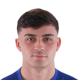 Hector Fort - Customized - FC 24 - Nov 24, 2023 | SoFIFA