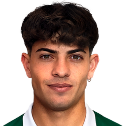 Palmeiras Squads SoFIFA