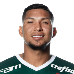 Palmeiras Squads SoFIFA