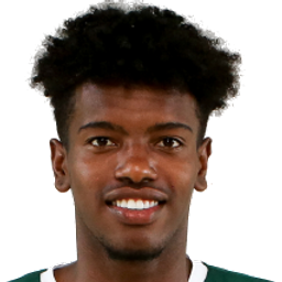 Palmeiras Squads SoFIFA